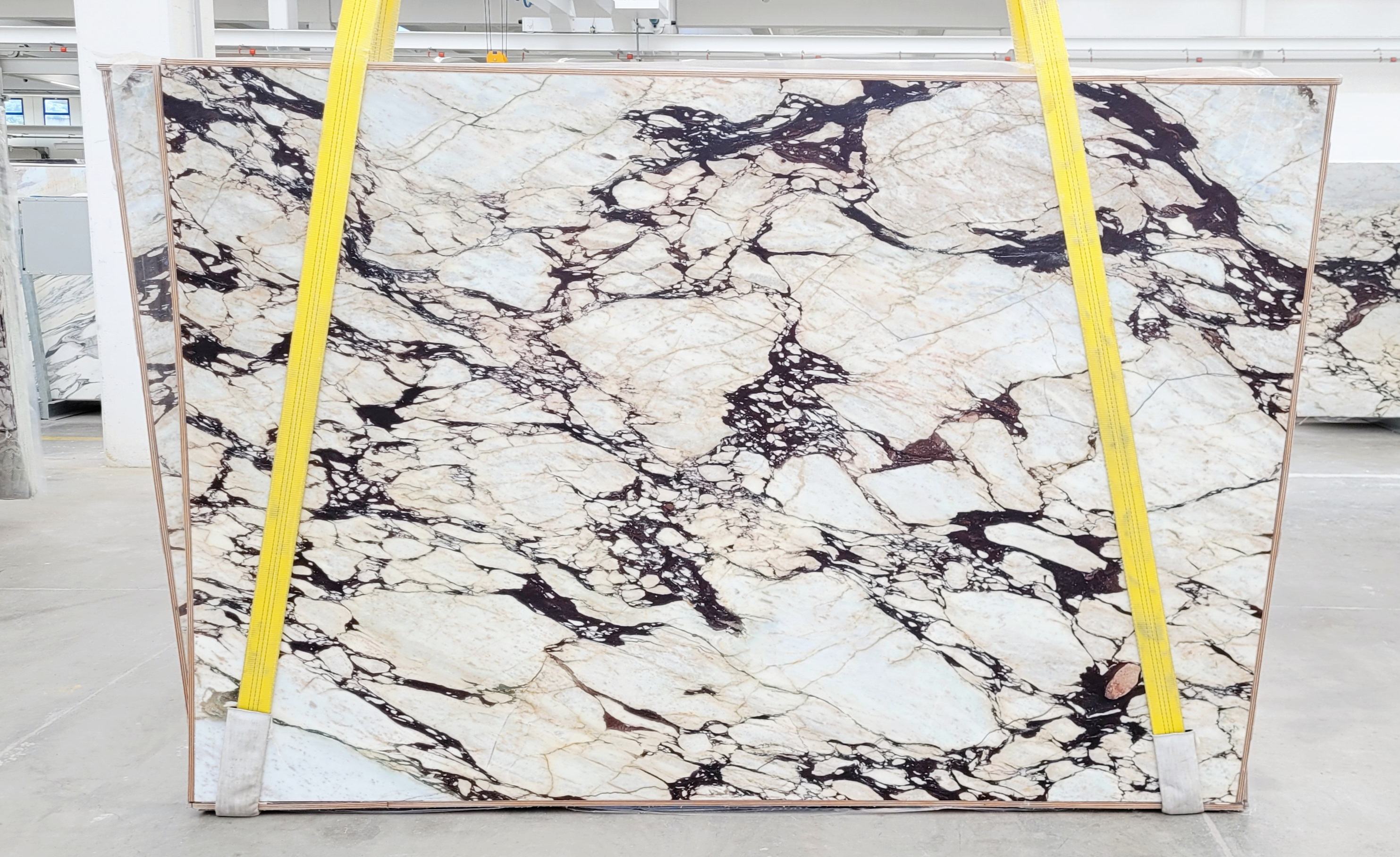 Calacatta Viola Extra Premium Honed Finish 2cm White Natural Stone Marble SLAB | Stratus Surfaces