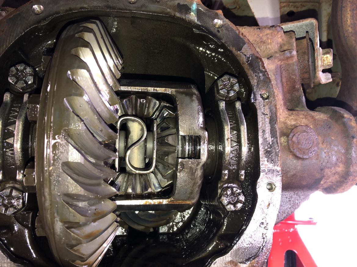 ford mustang rearend advice| Grassroots Motorsports forum