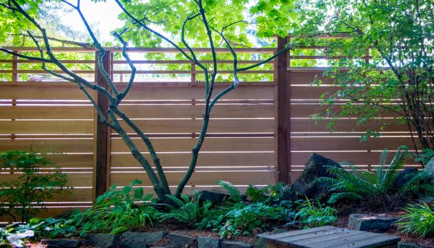 keep dog off borders