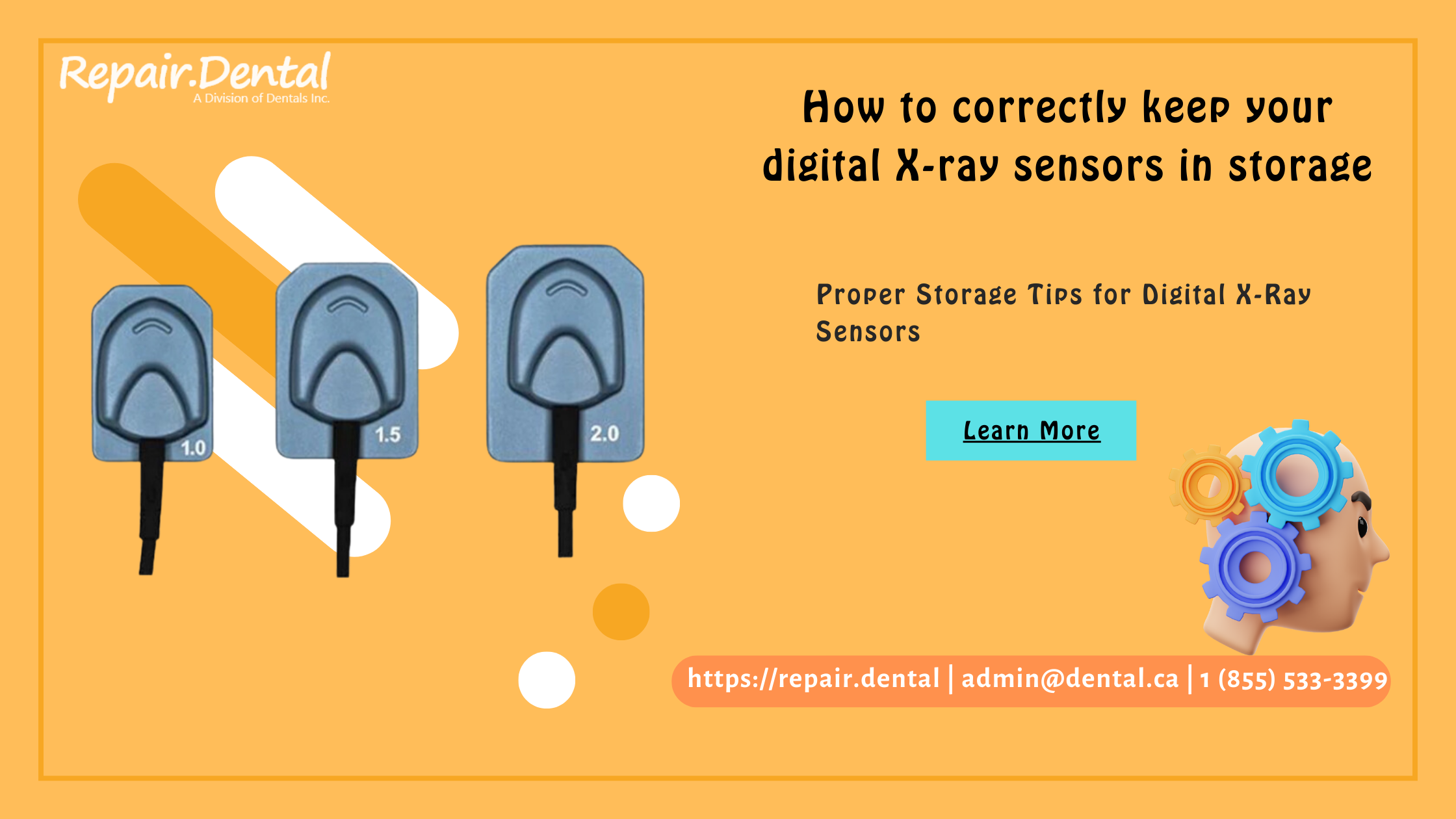 How to Store Digital X-Ray Sensors | Repair.Dental