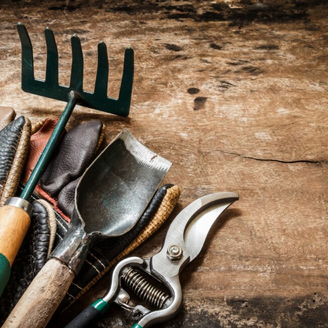 Keep Your Garden Tools in Tip-Top Shape and Prevent Tool Rust - Zerust ...