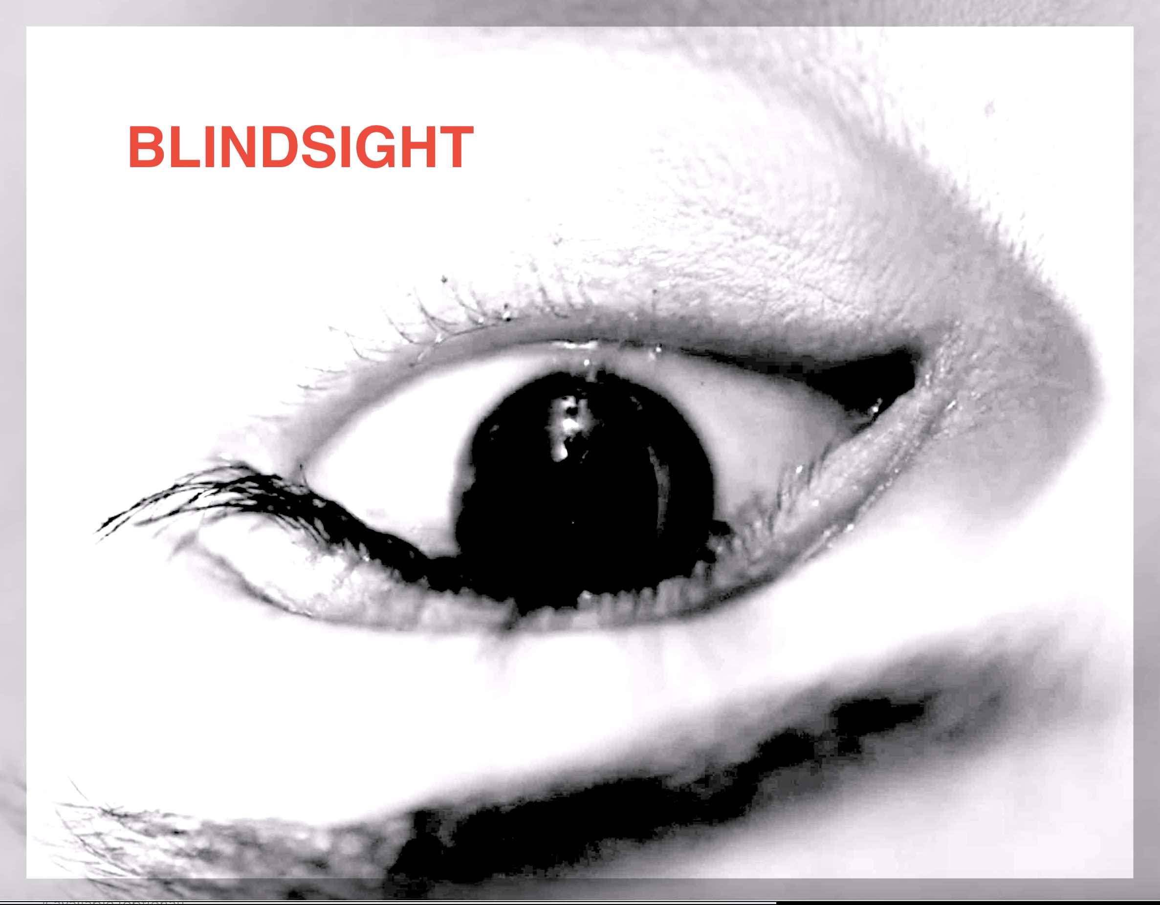 BLINDSIGHT - Film and Storytelling | Seed&Spark