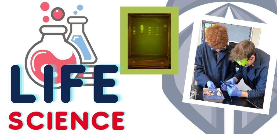 Life Sciences Anatomy, Environmental Science, and AP Biology - St ...