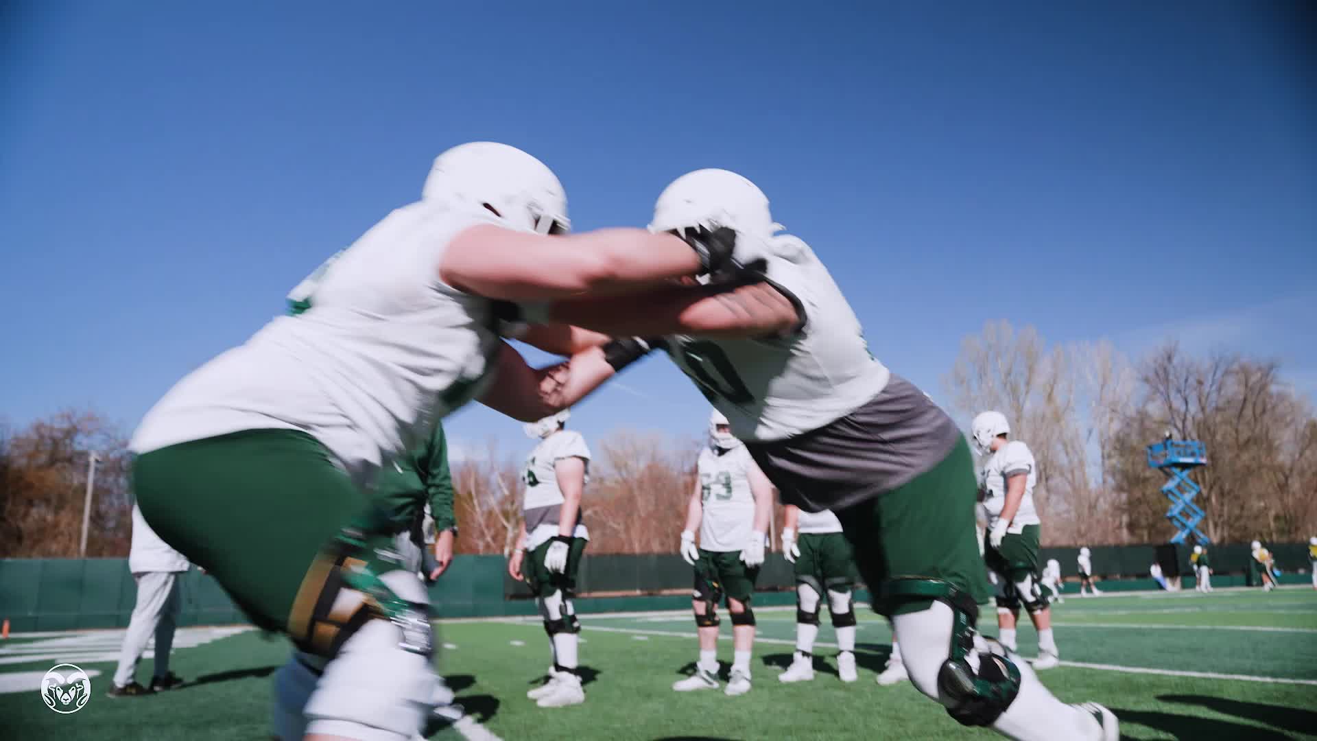 Colorado State University