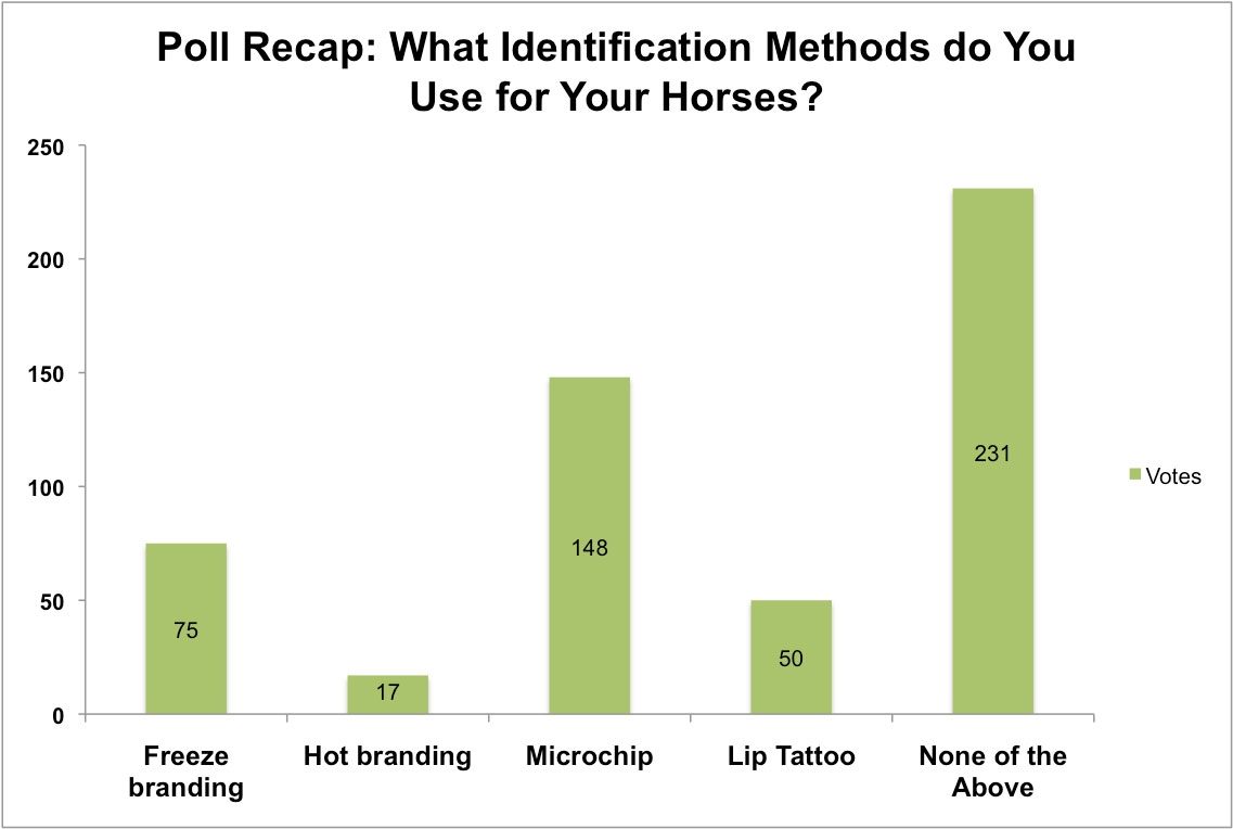 Poll Recap: Identification Methods – The Horse