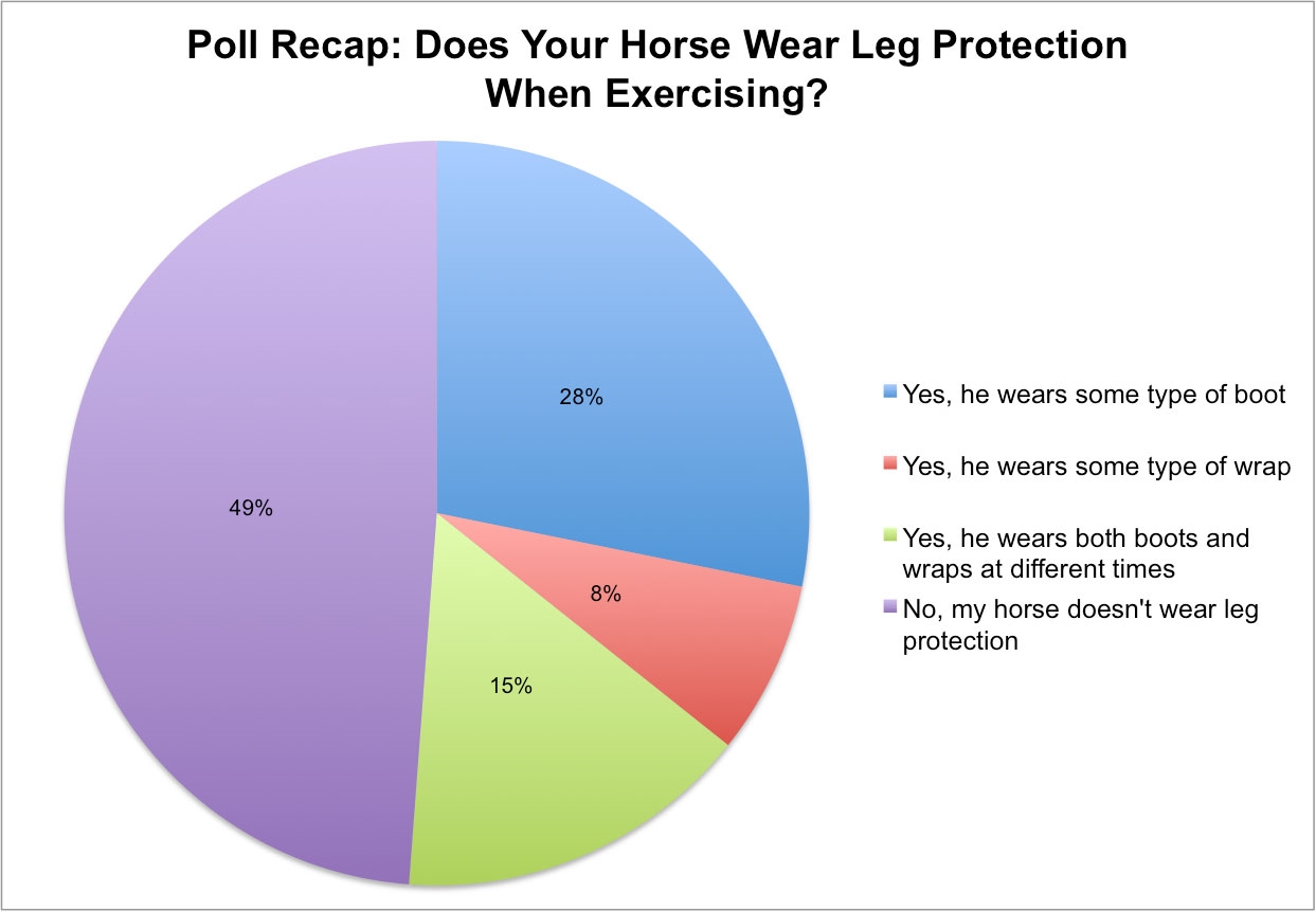 Poll Recap: Equine Leg Protection – The Horse