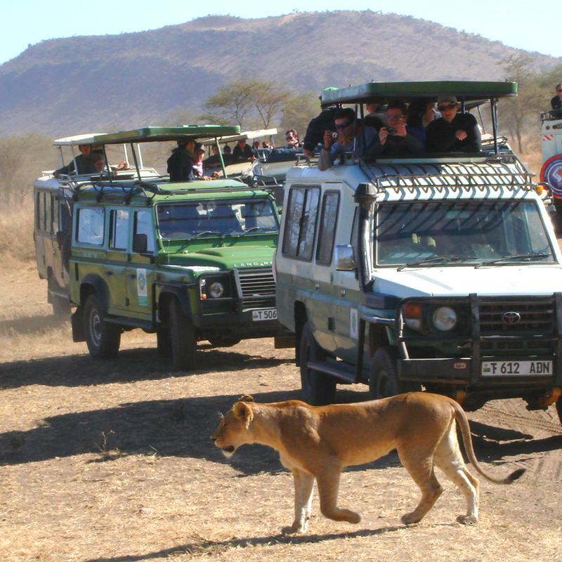 What to Pack for African Safari Tours
