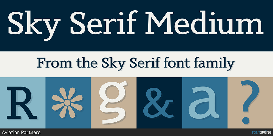 Sky Serif Font Family by Aviation Partners | Font Bros