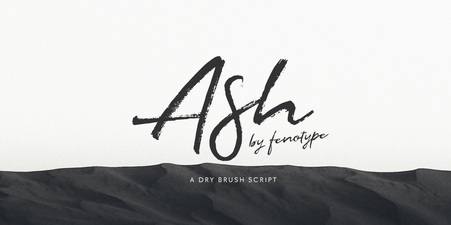 Ash Font Family by Fenotype | Font Bros
