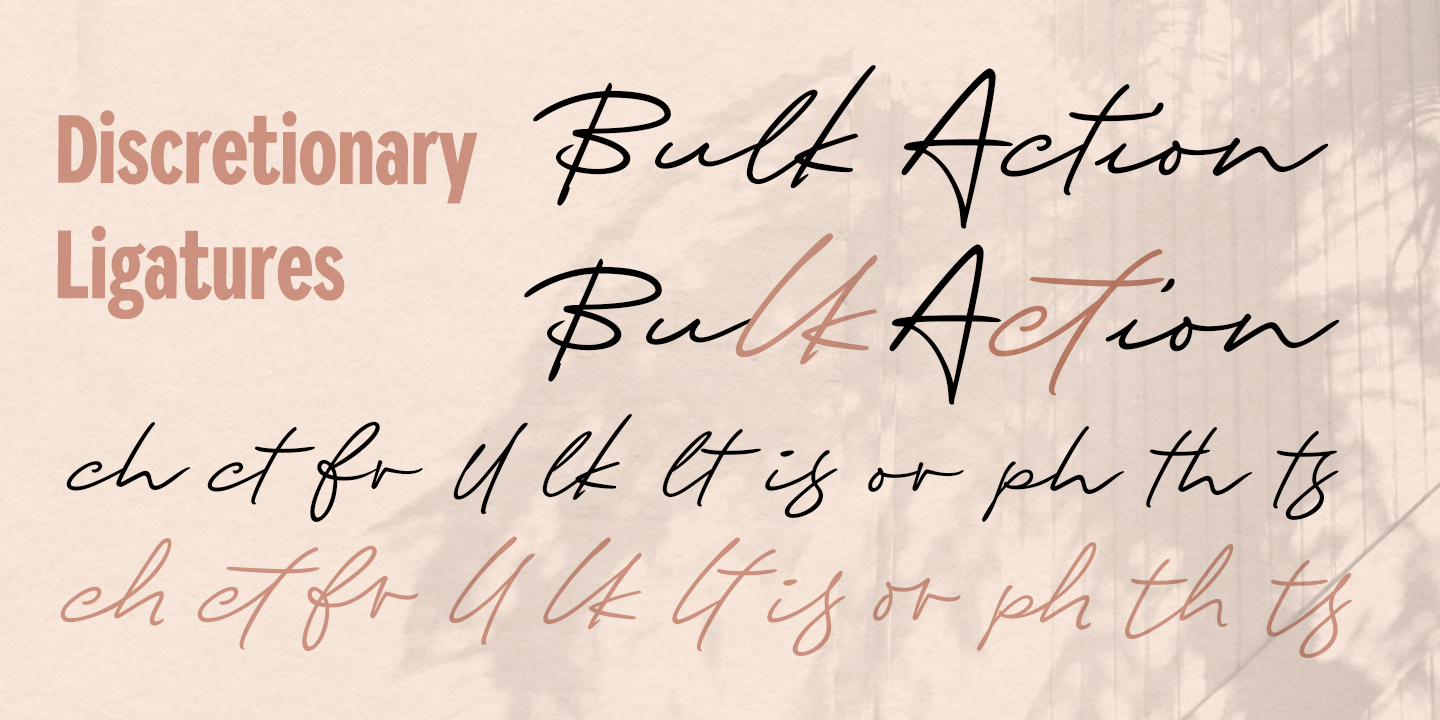 Ellie Script Font Family by Fenotype | Font Bros