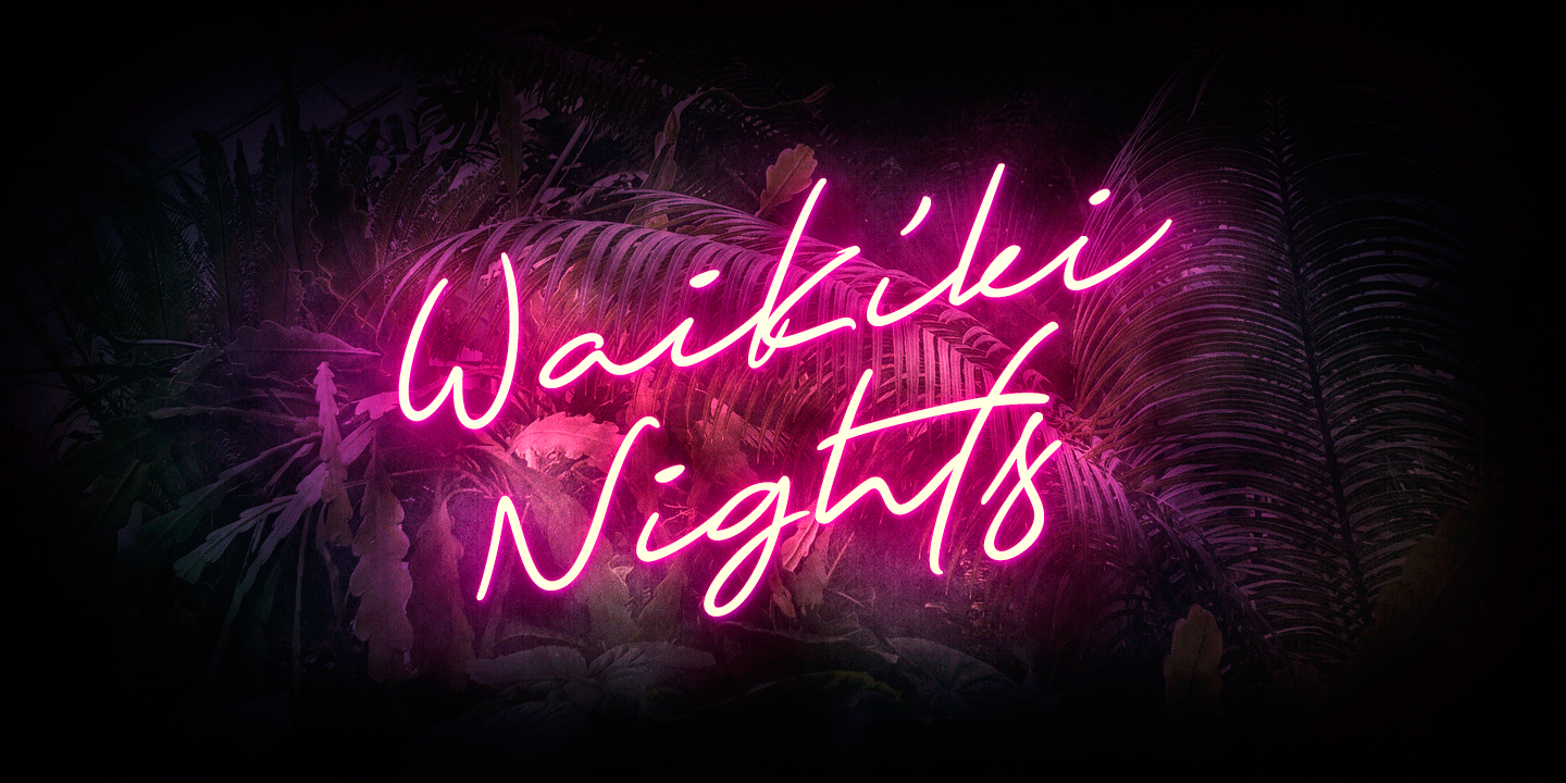 Ellie Script Font Family by Fenotype | Font Bros