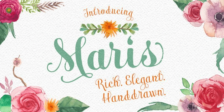 Maris Font Family by Insigne | Font Bros