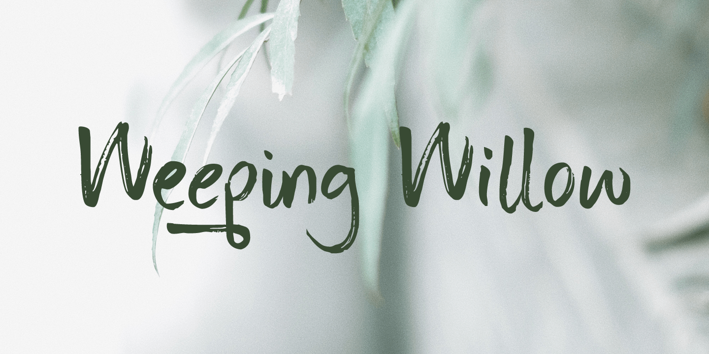 Weeping Willow Font Family by Hanoded | Font Bros