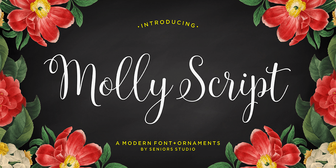 Molly Script Font Family by Seniors Studio | Font Bros