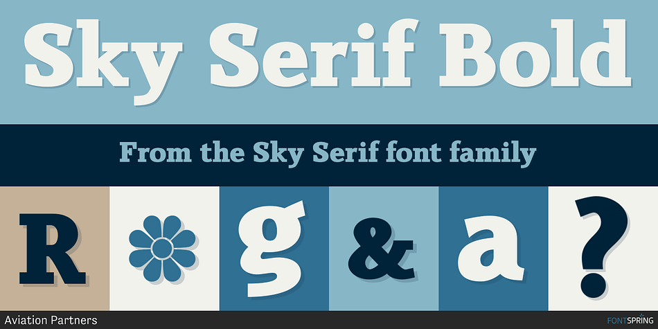 Sky Serif Bold Font Style by Aviation Partners | Font Bros