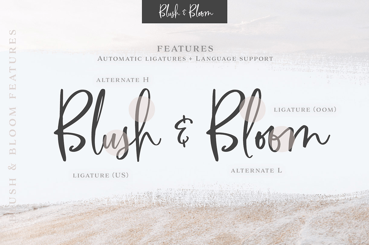 Blush & Bloom Font Family by Callie Rian & Co | Font Bros
