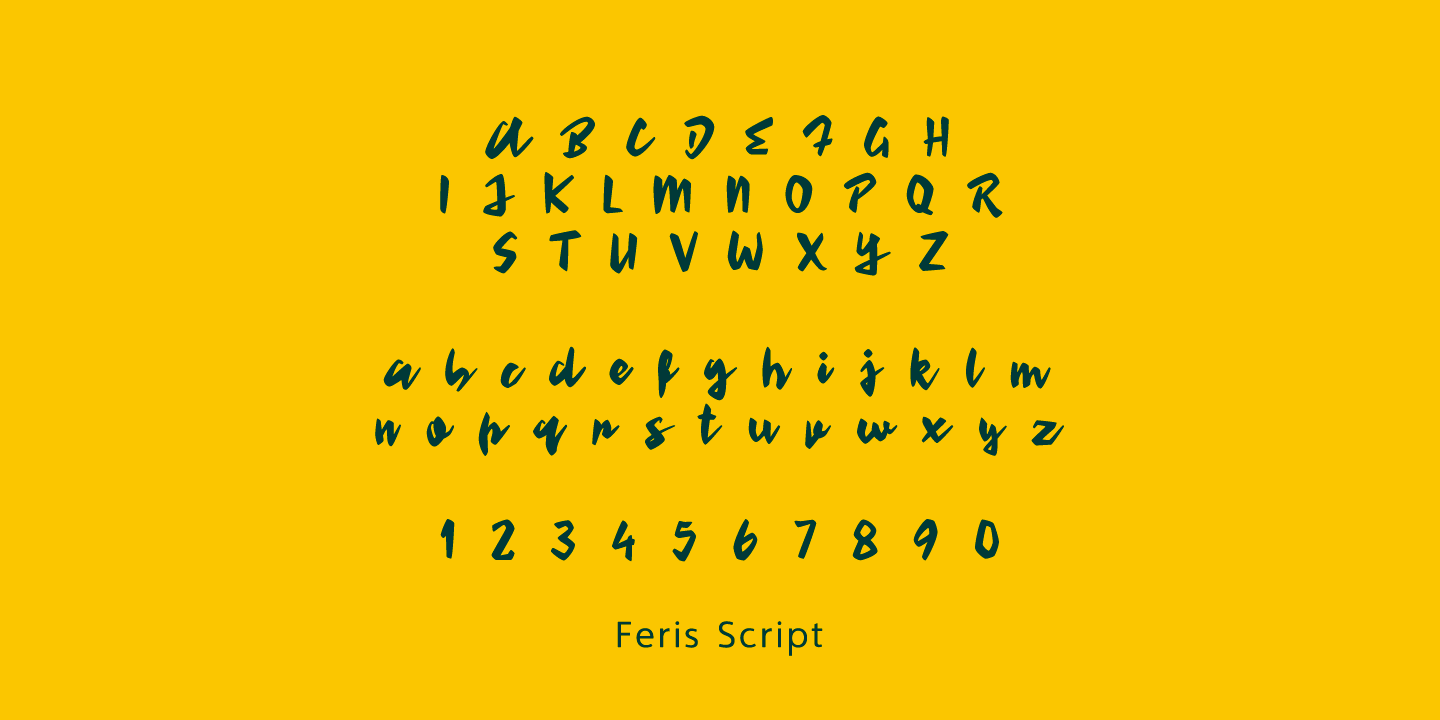 Feris Script Font Family by Pedro Teixeira Type Foundry | Font Bros