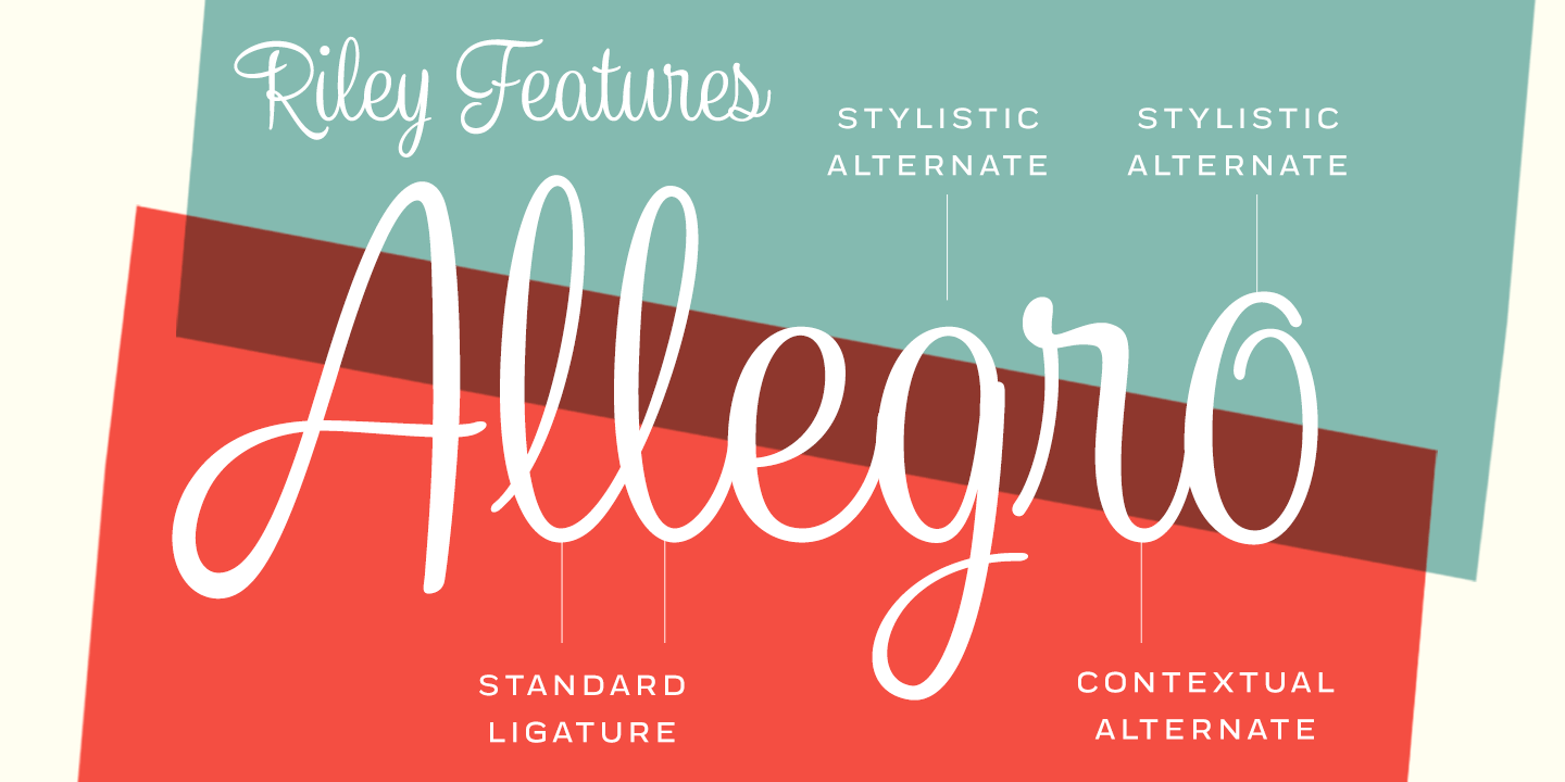 Riley Font Family by Fenotype | Font Bros