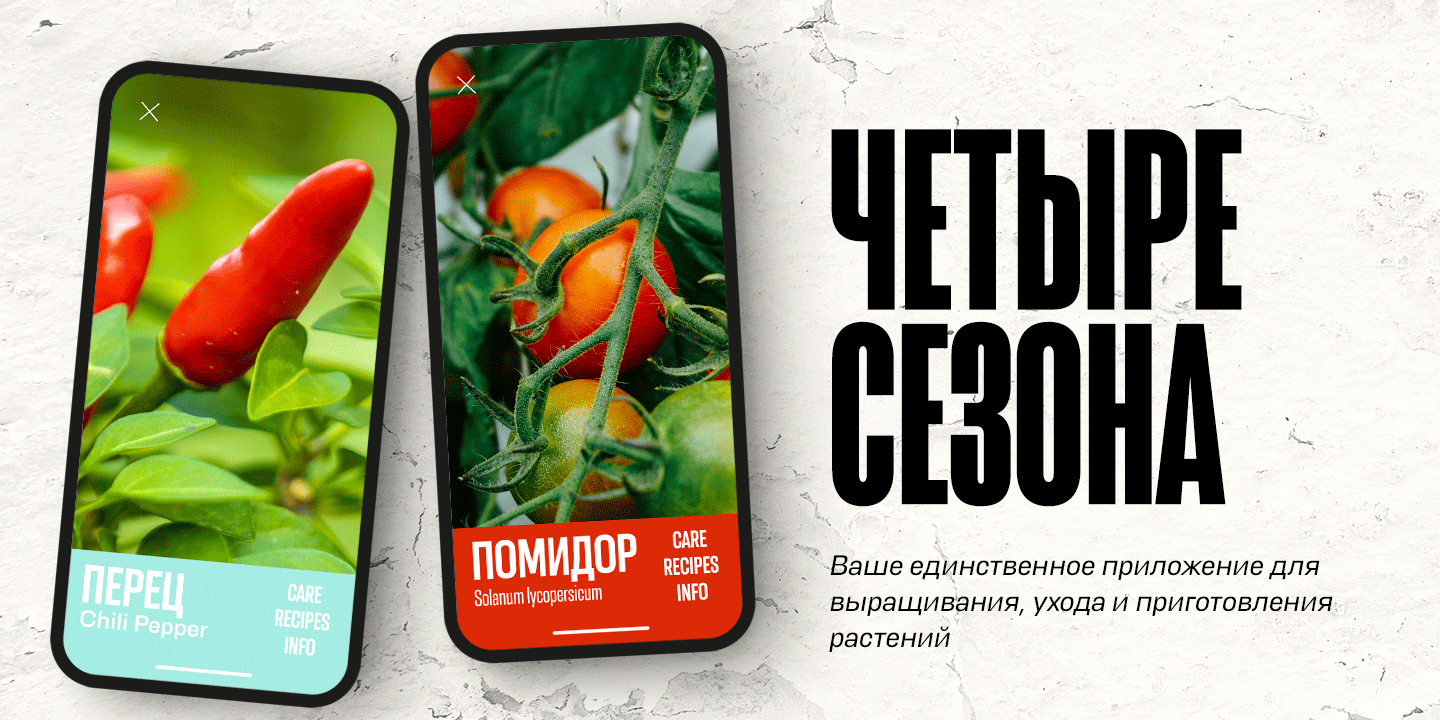 Resolve Sans Cyrillic Font Family by Fenotype | Font Bros