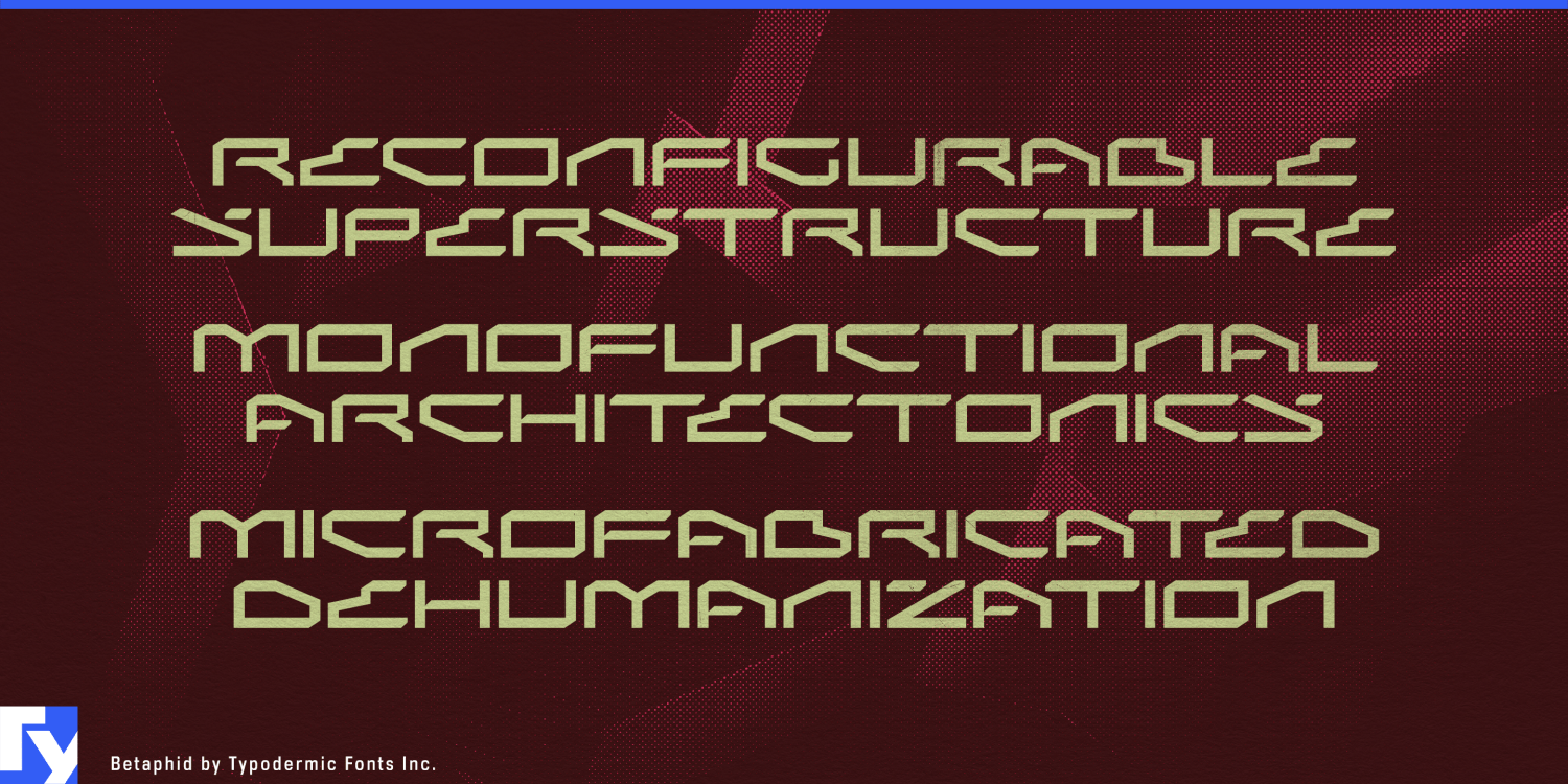 Betaphid Font Family by Typodermic | Font Bros