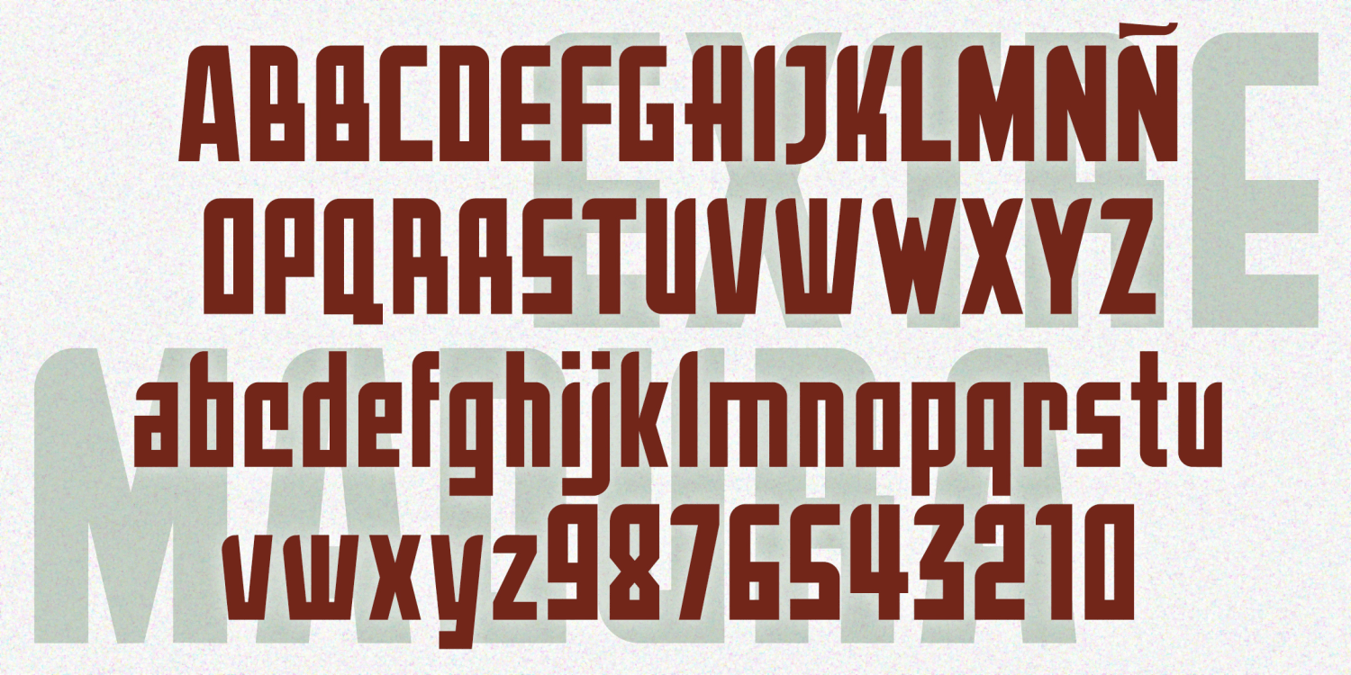 WM Blake Font Family by Harold's Fonts | Font Bros