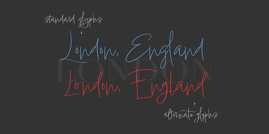 Lindsey Signature Font Family by Tart Workshop | Font Bros