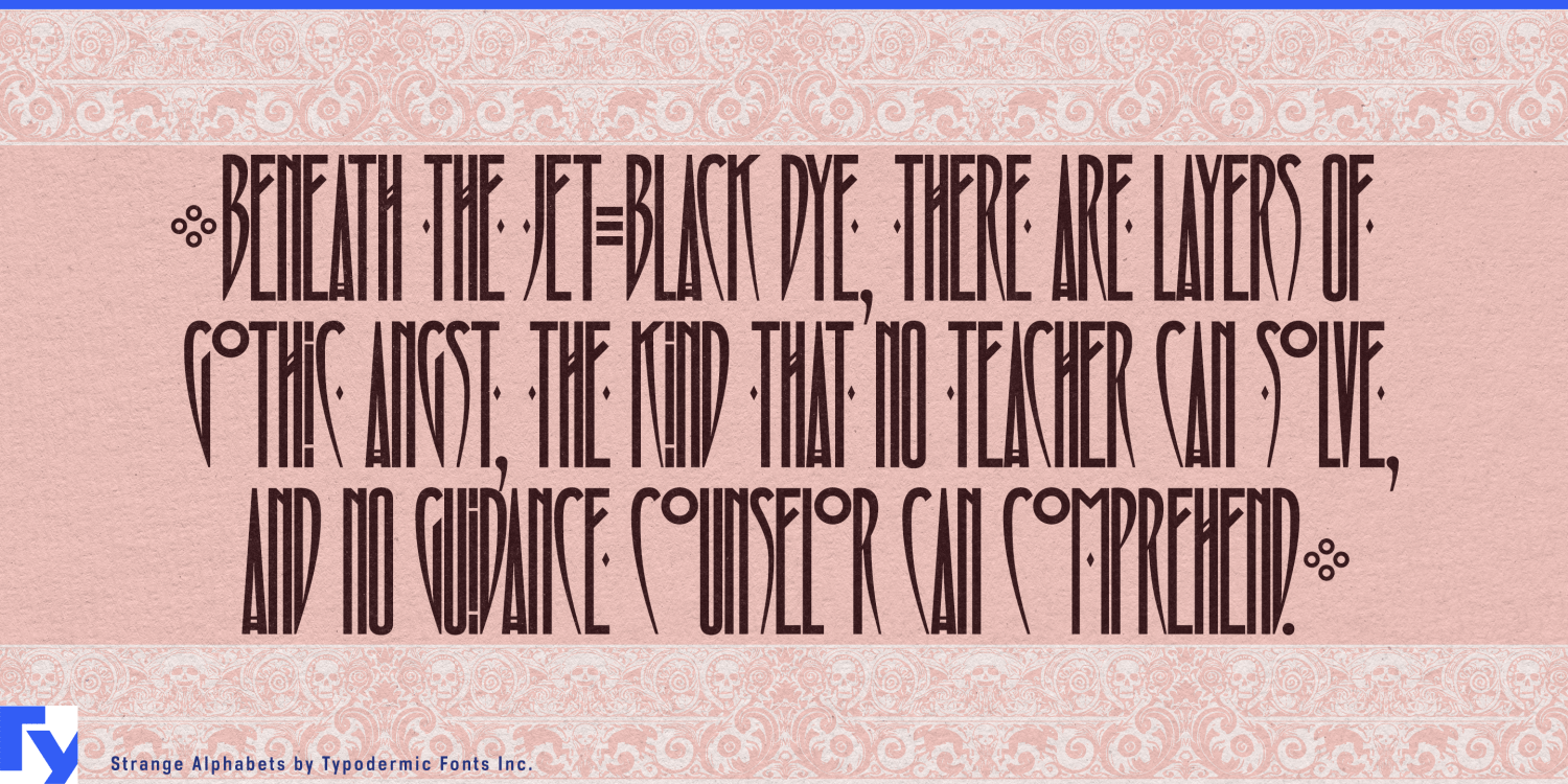 Strange Alphabets Font Family by Typodermic | Font Bros