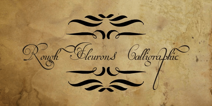 Rough Fleurons Calligraphic Font Family by Intellecta Design | Font Bros