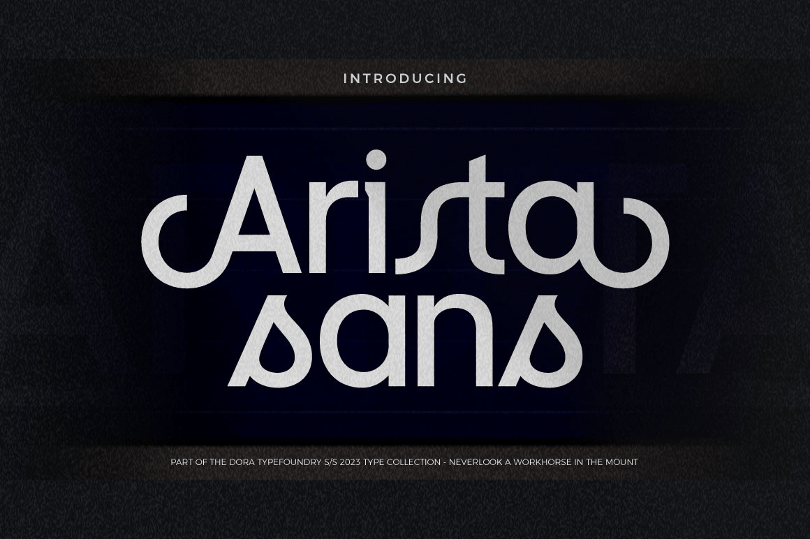 Arista Sans Font Family by Dora Typefoundry | Font Bros
