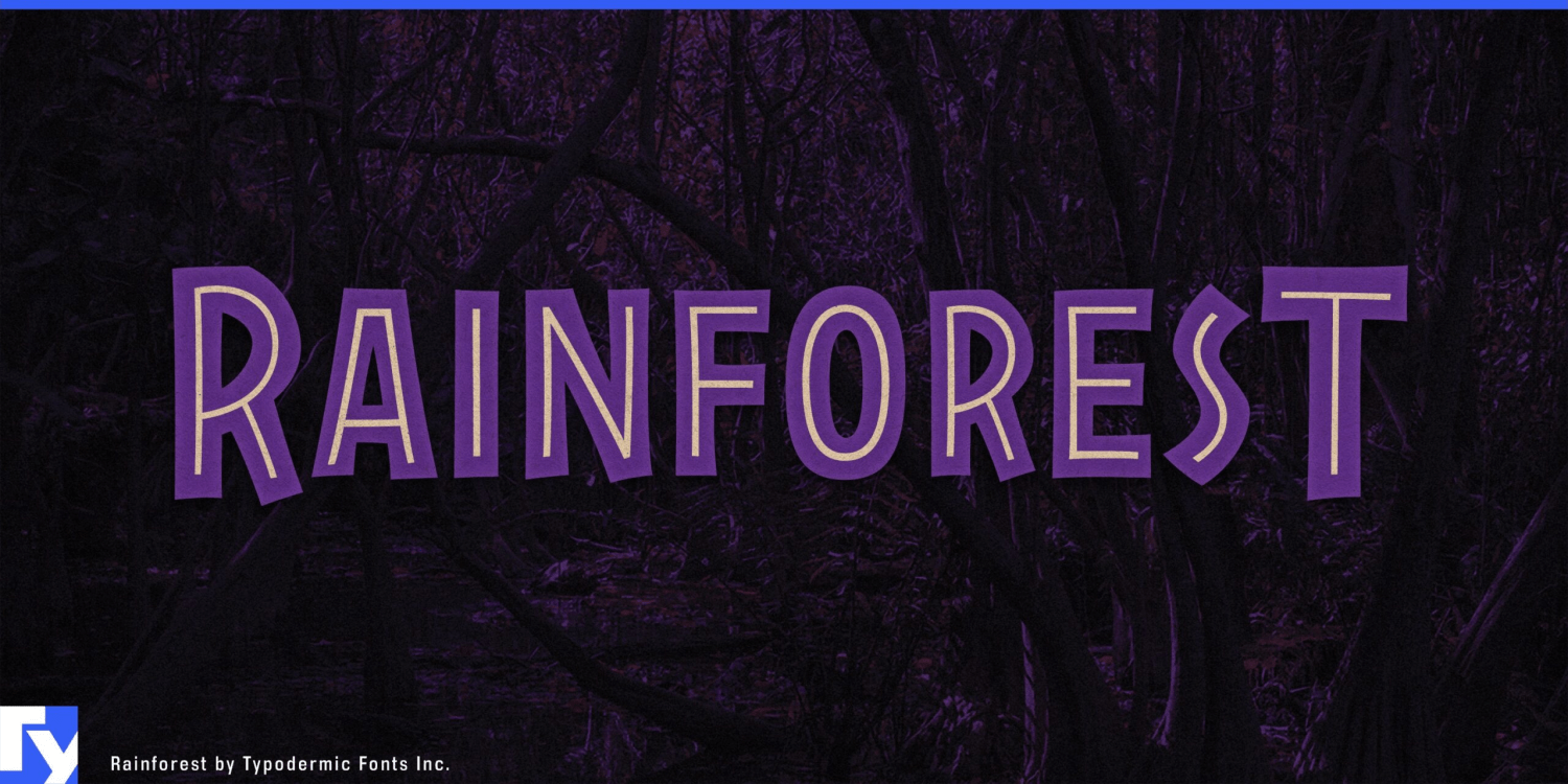 Rainforest Font Family by Typodermic | Font Bros