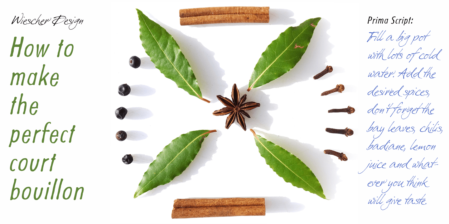 Prima Script Font Family by Wiescher Design | Font Bros