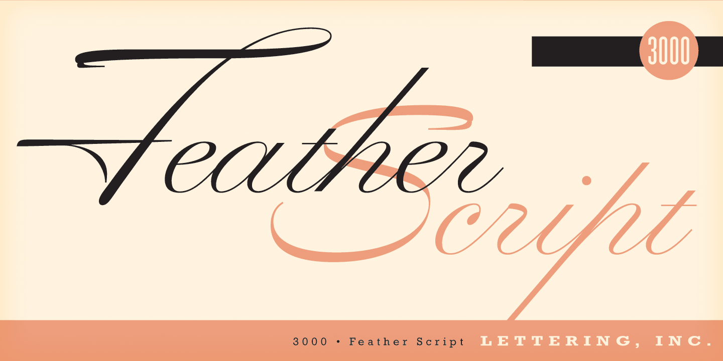 Feather Script Regular Font Style by Lettering Inc | Font Bros