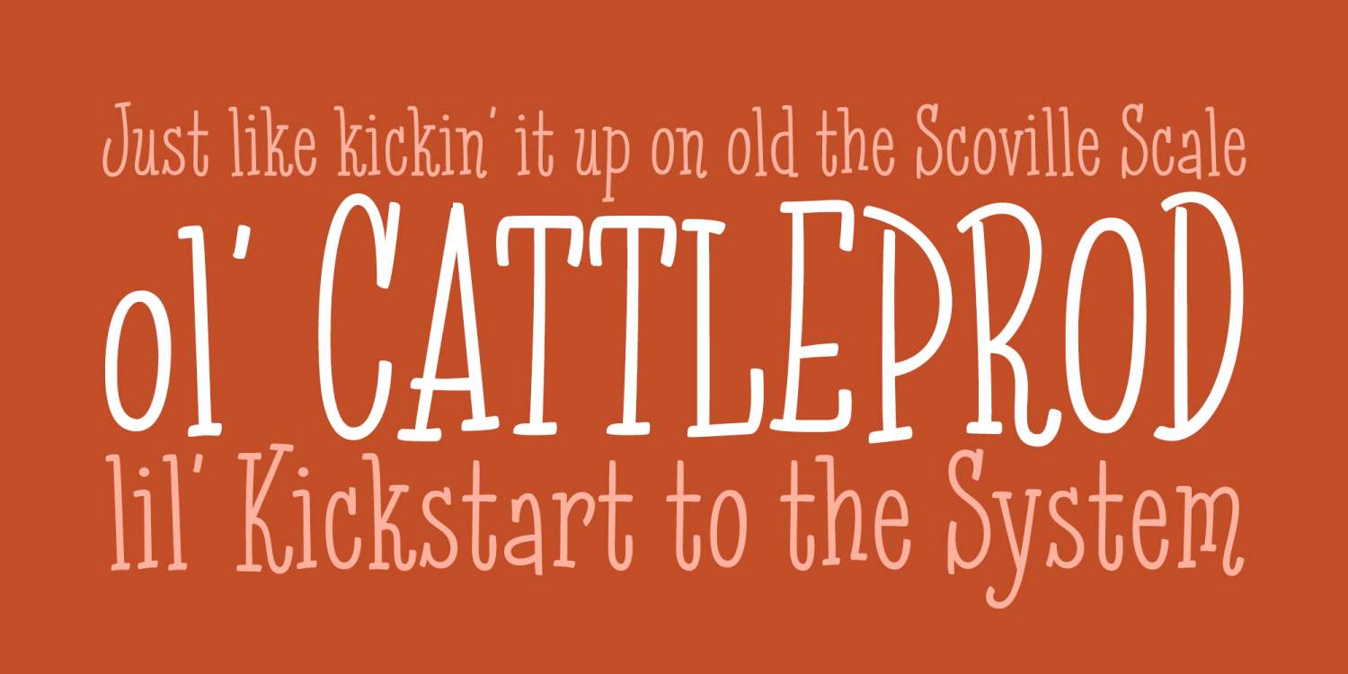 Cattleprod PB Font Family by Pink Broccoli | Font Bros
