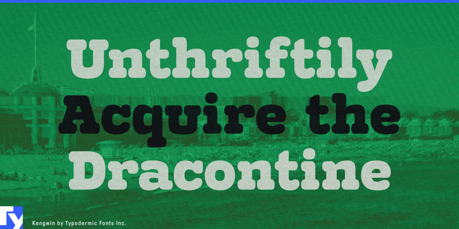 Kengwin Font Family by Typodermic | Font Bros