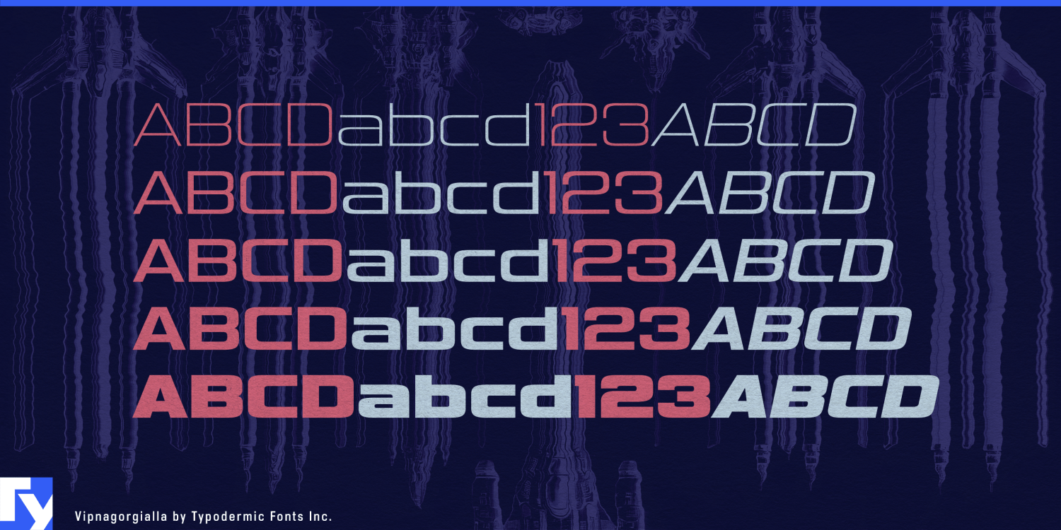 Vipnagorgialla Font Family by Typodermic | Font Bros