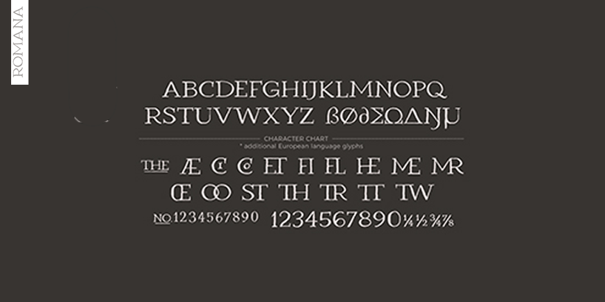 Romana Font Family by Tart Workshop | Font Bros
