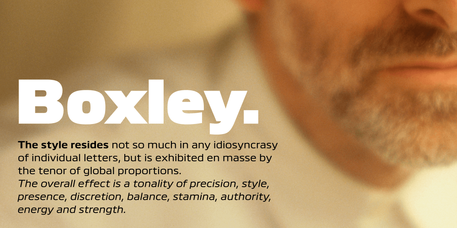 Boxley Font Family by Shinntype | Font Bros