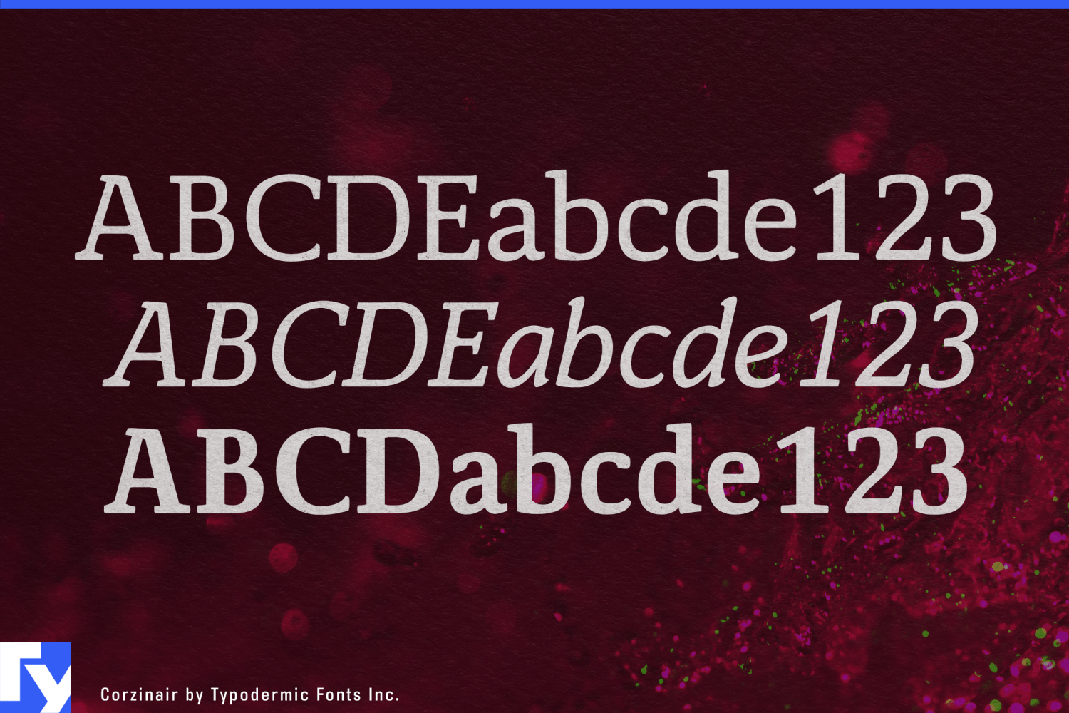 Corzinair Font Family by Typodermic | Font Bros