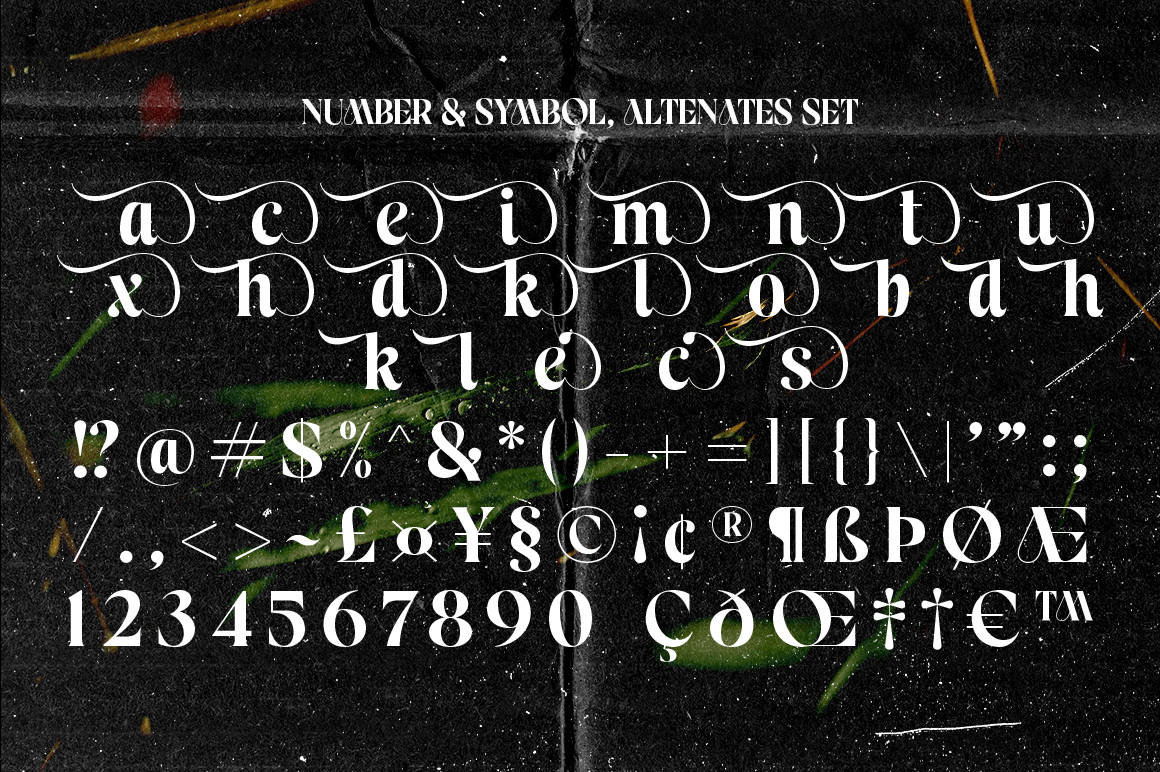 Celion Font Family by Dora Typefoundry | Font Bros