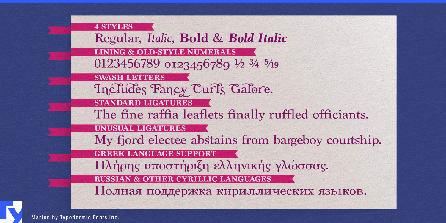 Marion Font Family by Typodermic | Font Bros