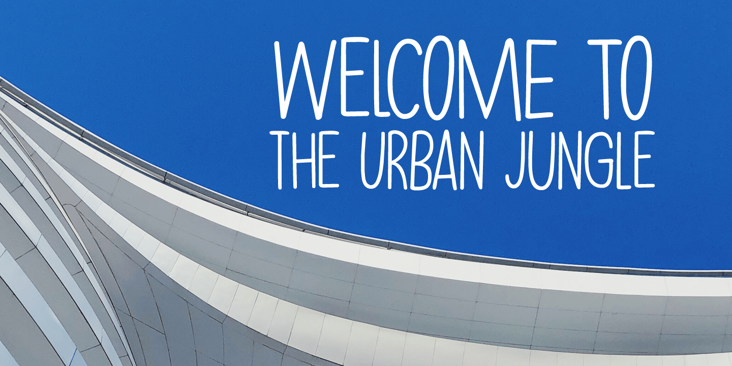 Modern Fantasy Font Family by Hanoded | Font Bros