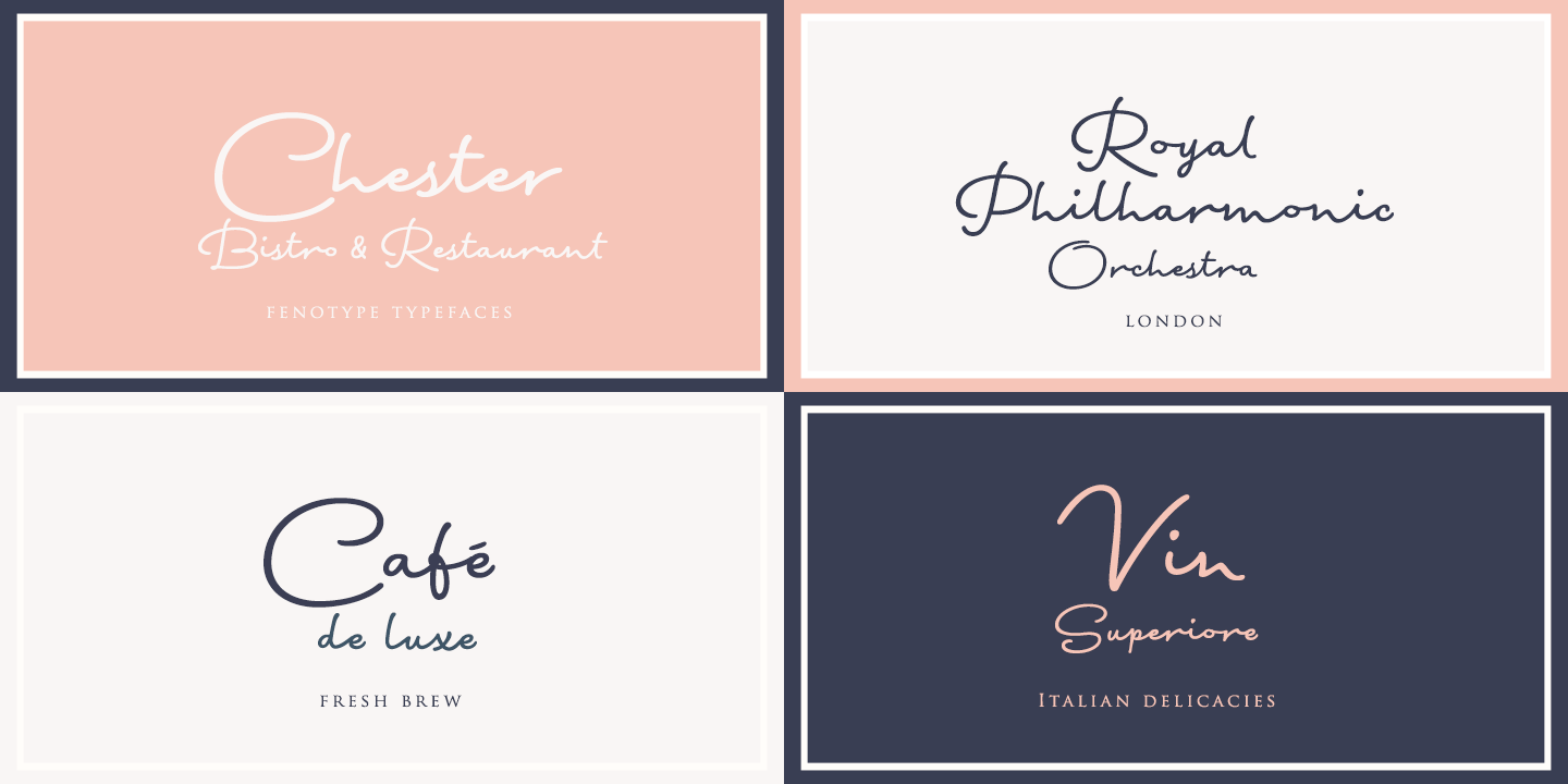 Signature Script Fenotype Font Family by Fenotype | Font Bros