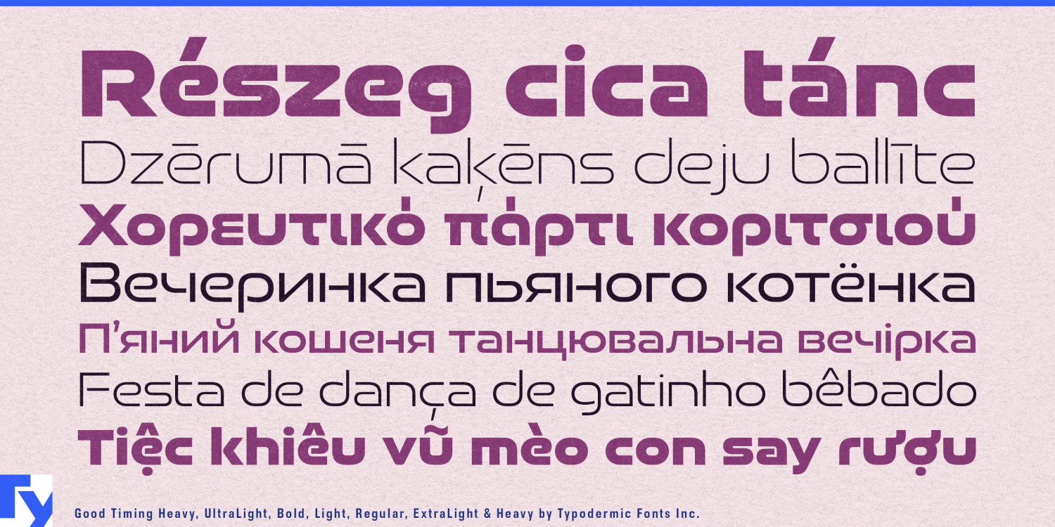 Good Timing Font Family by Typodermic | Font Bros