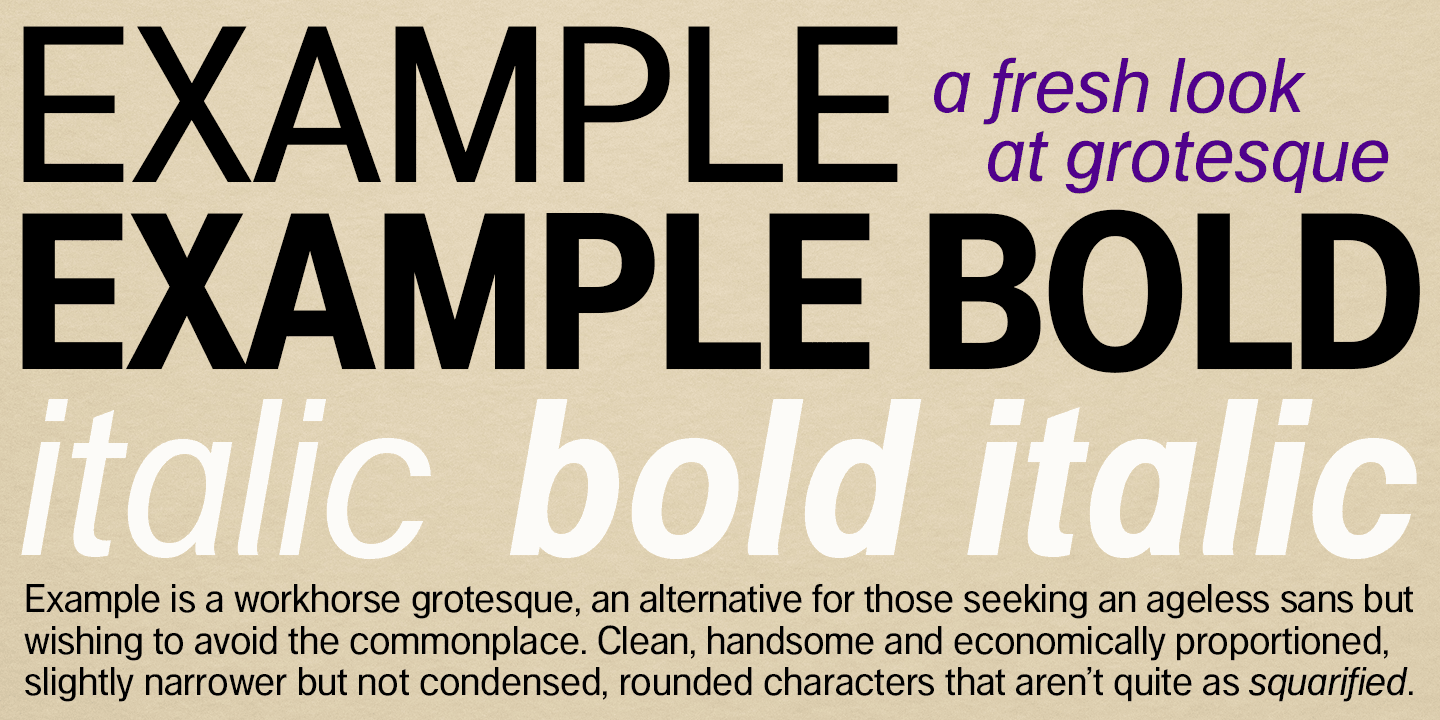 Example Font Family by K-Type | Font Bros