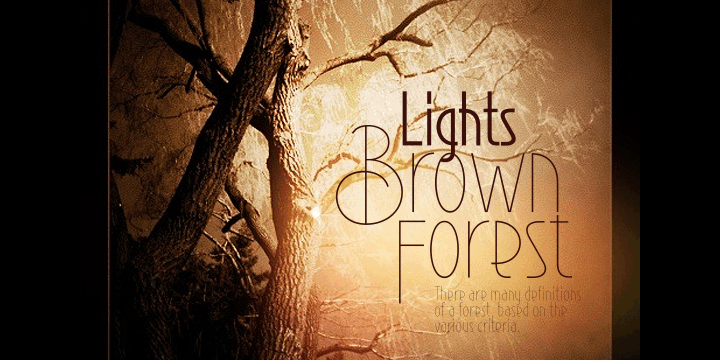 Reader Font Family by Fontfabric | Font Bros