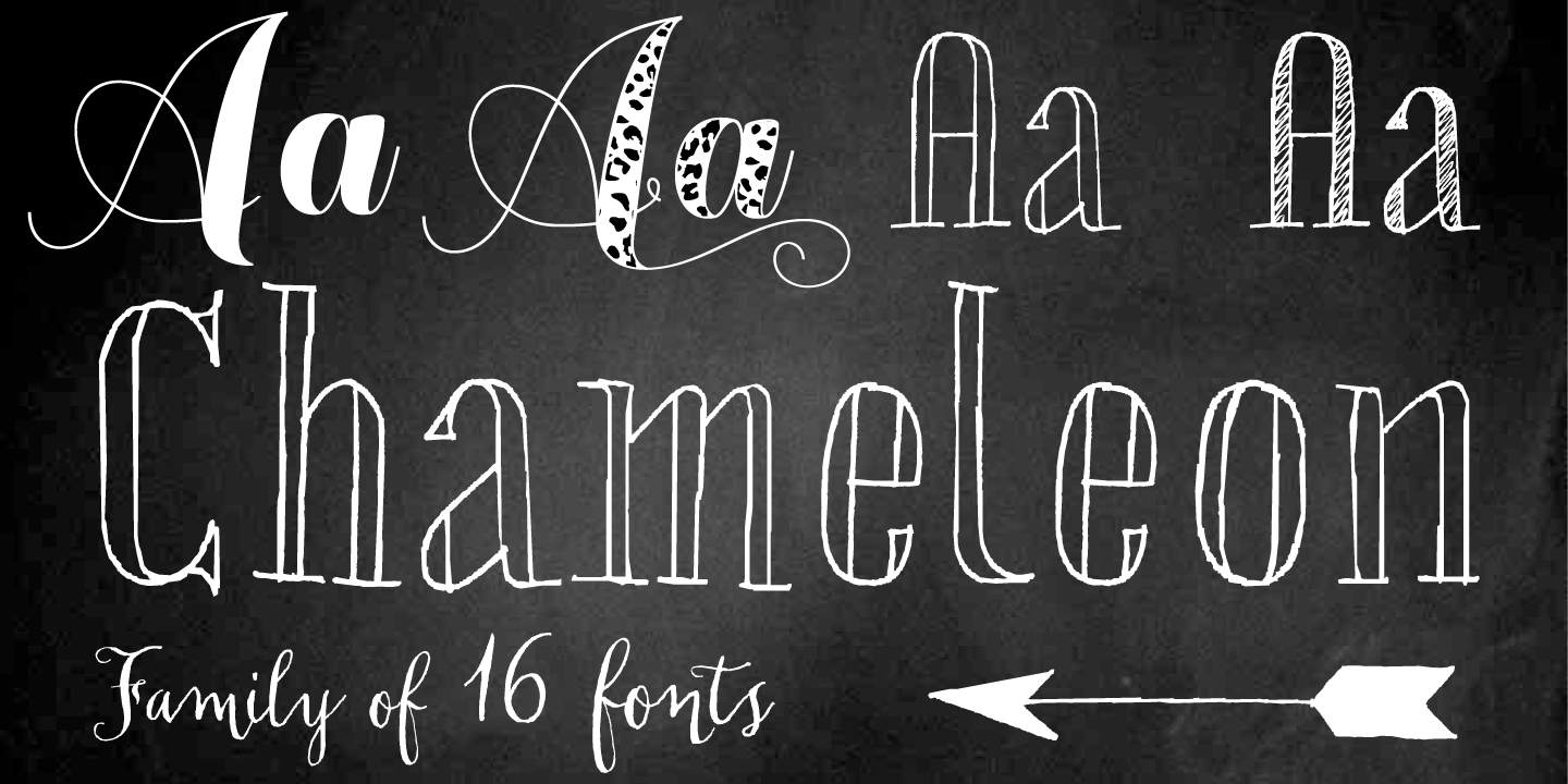 Chameleon Font Family by Font Forecast | Font Bros