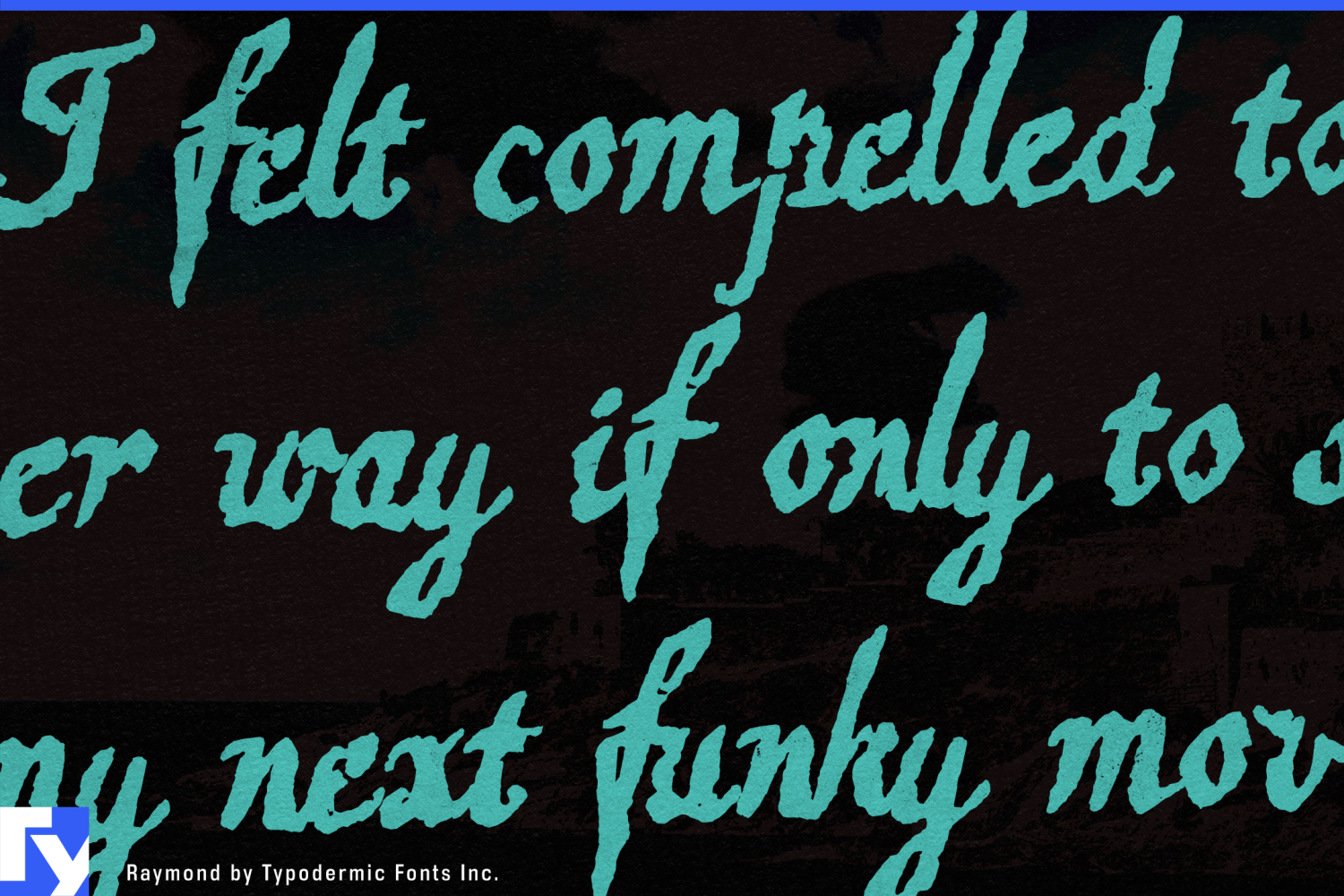 Raymond Font Family by Typodermic | Font Bros