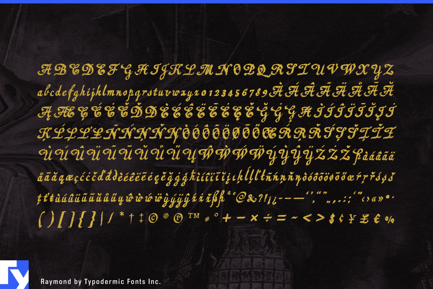 Raymond Font Family by Typodermic | Font Bros