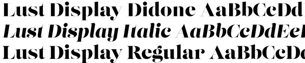 Lust Display Font Bundle by Positype | Font Bros